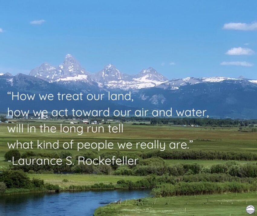 Quotes – Peak to Sea Travel Experiences